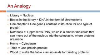 Biology Central dogma of life Lec-10_CDL.pptx