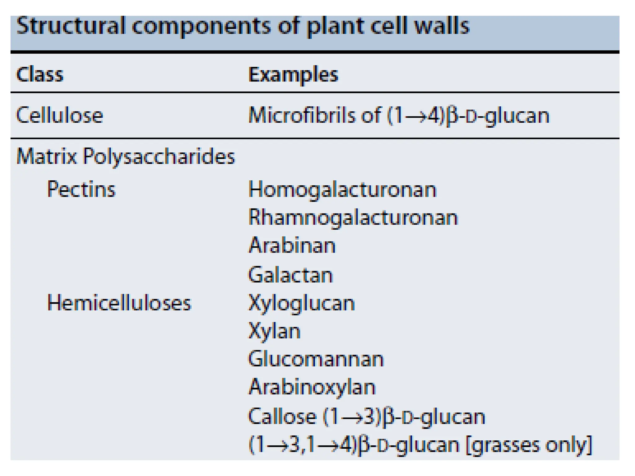 Plant cell wall structure and plasma membrane | PPT