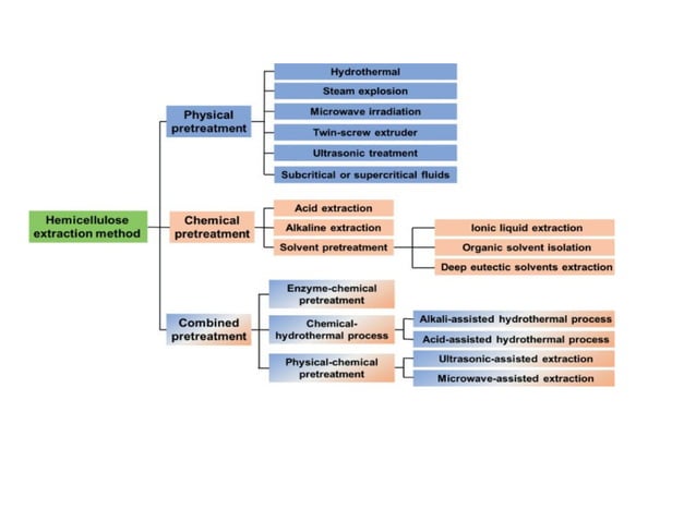 Plant cell wall structure and plasma membrane | PPT