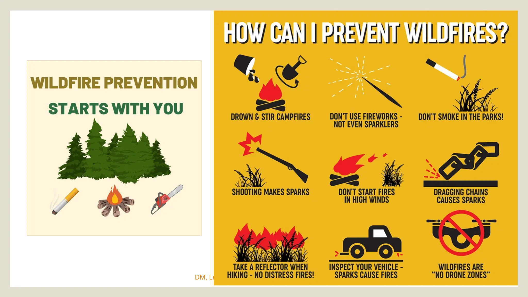 Lec-11 FOREST FIRE DISASTER MANAGEMENT.pptx
