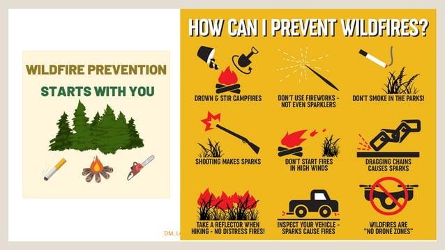 Lec-11 FOREST FIRE DISASTER MANAGEMENT.pptx