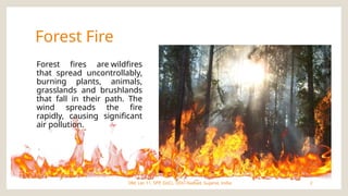 Lec-11 FOREST FIRE DISASTER MANAGEMENT.pptx