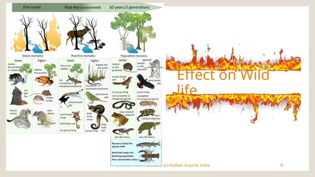 Lec-11 FOREST FIRE DISASTER MANAGEMENT.pptx