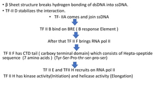 Prokaryotic transcription | PPT