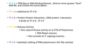 Prokaryotic transcription | PPT