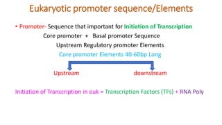 Eukaryotic promoter sequence/Elements | PPT