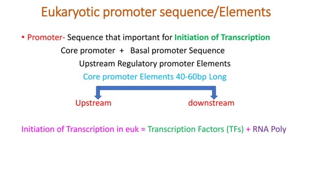 Eukaryotic promoter sequence/Elements | PPT