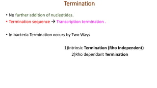 Prokaryotic transcription | PPT