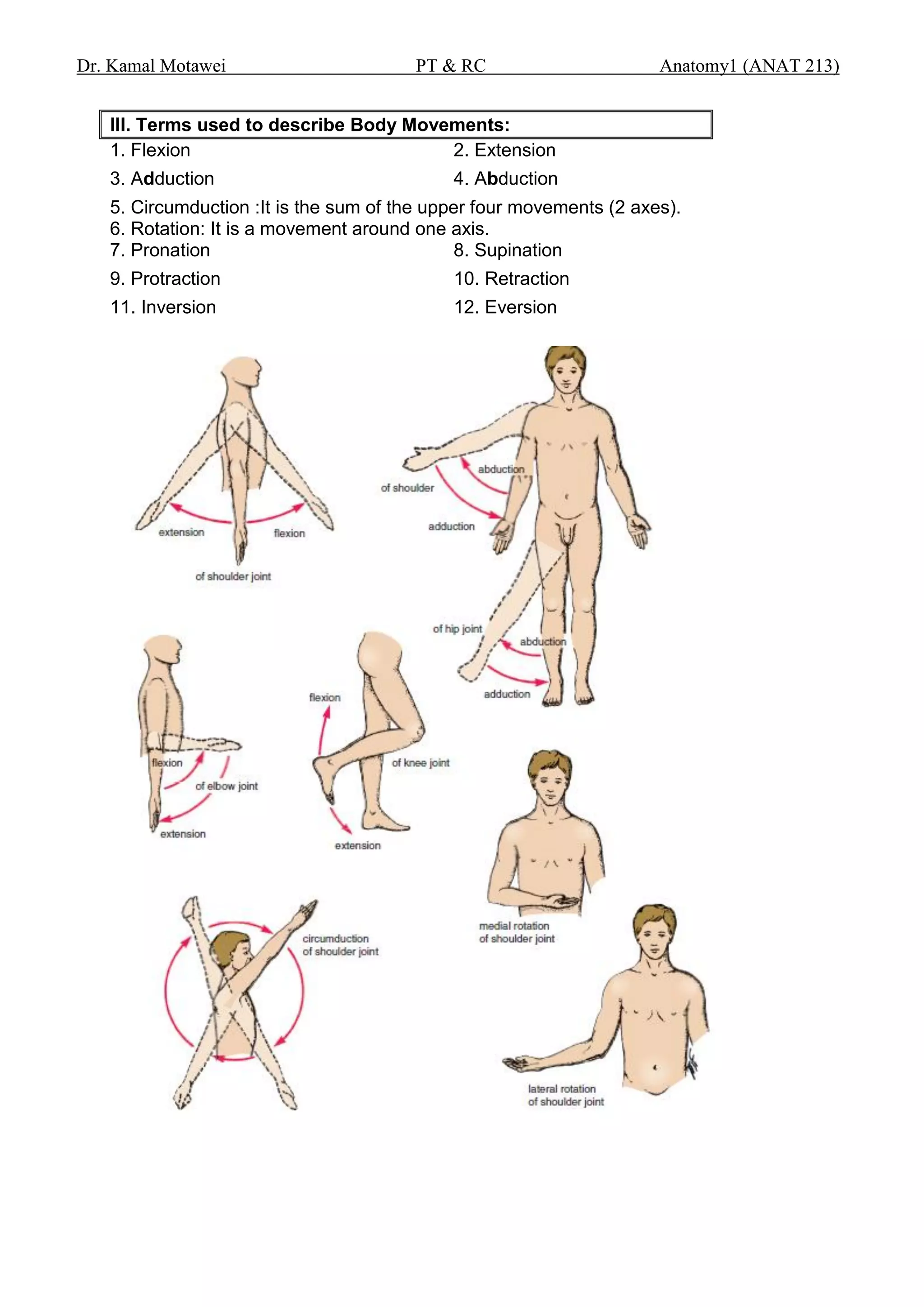 Lec.1 3,descriptive anatomical-terms-pt-rc | PDF