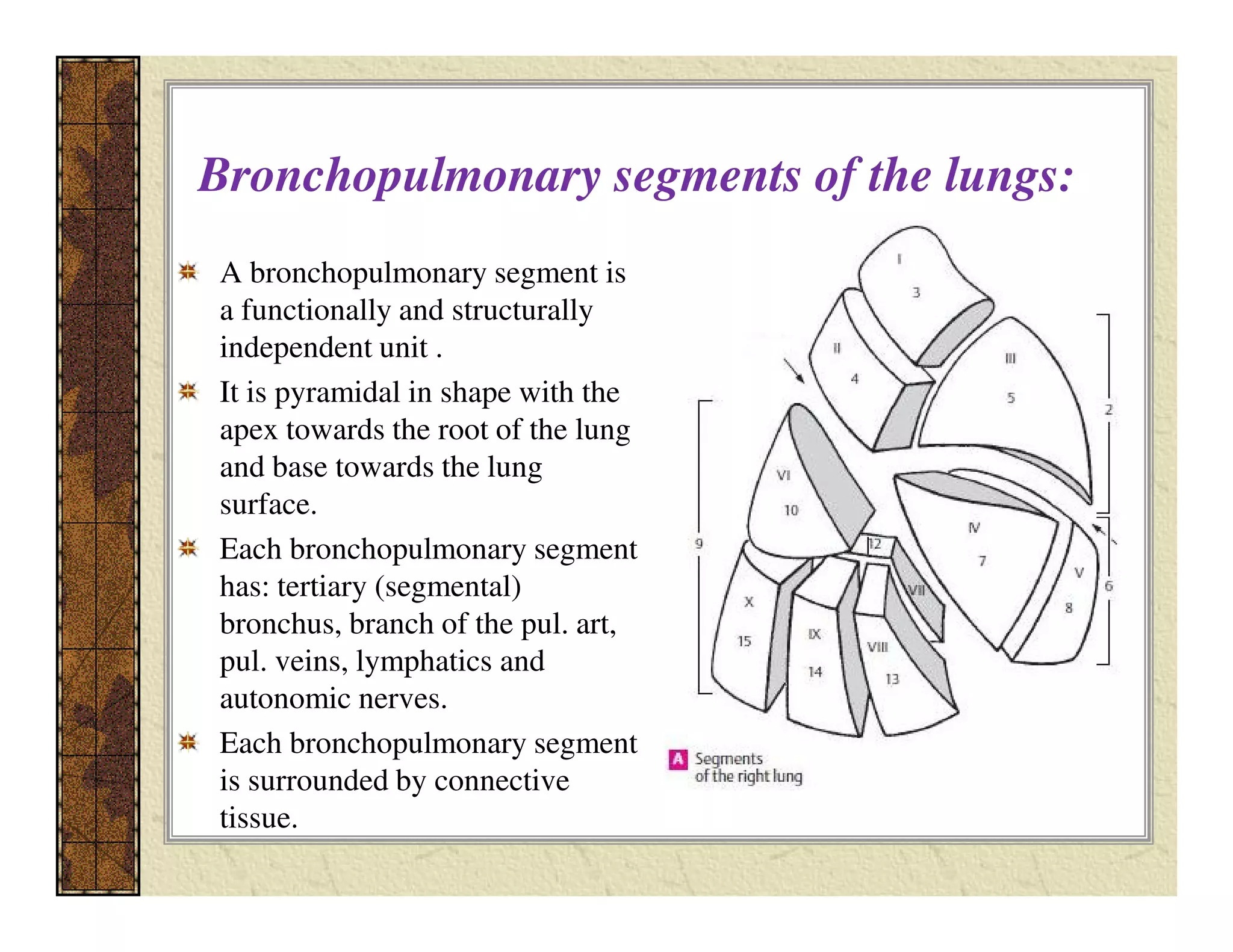 Lec.8 lungs pt&rc | PDF