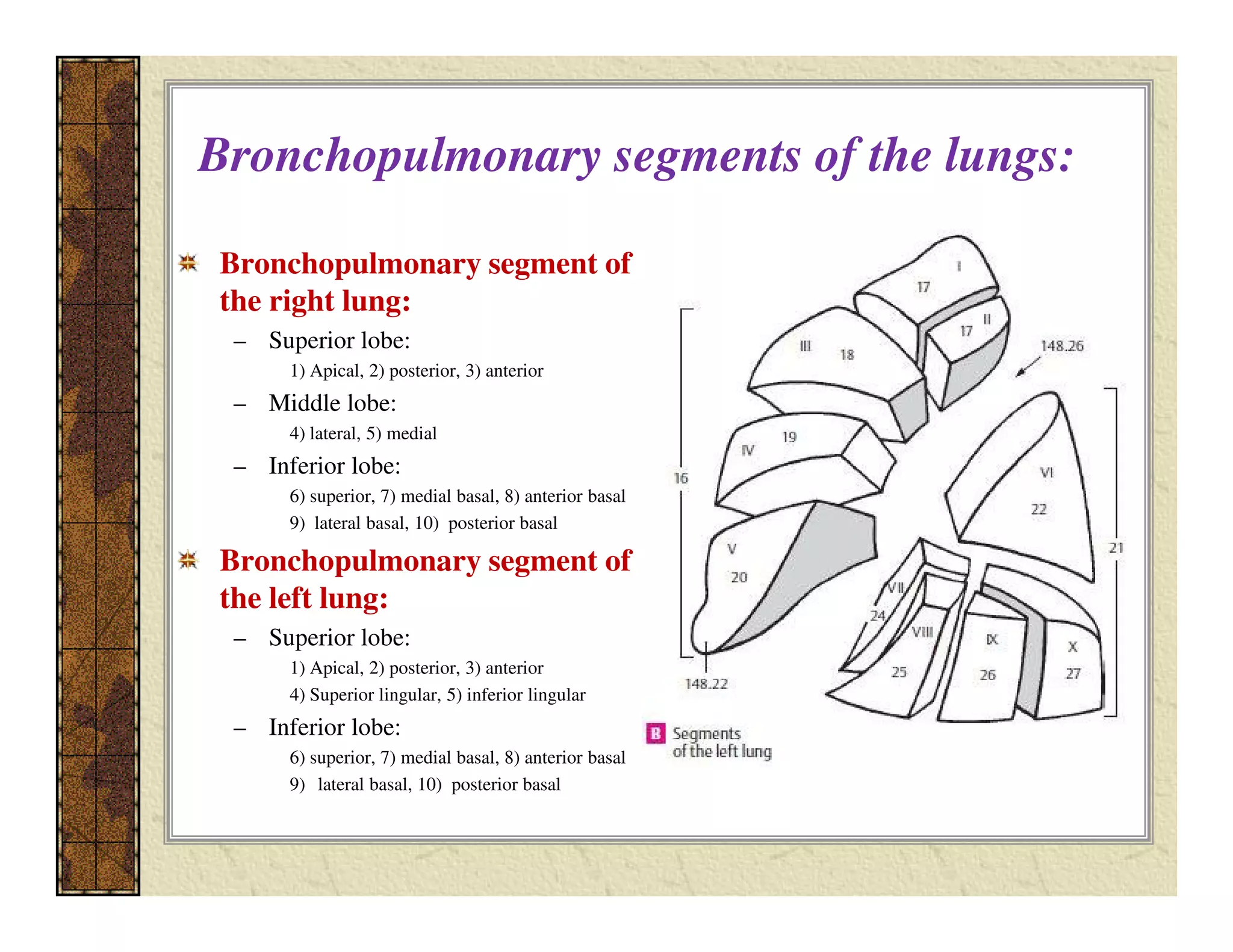 Lec.8 lungs pt&rc | PDF