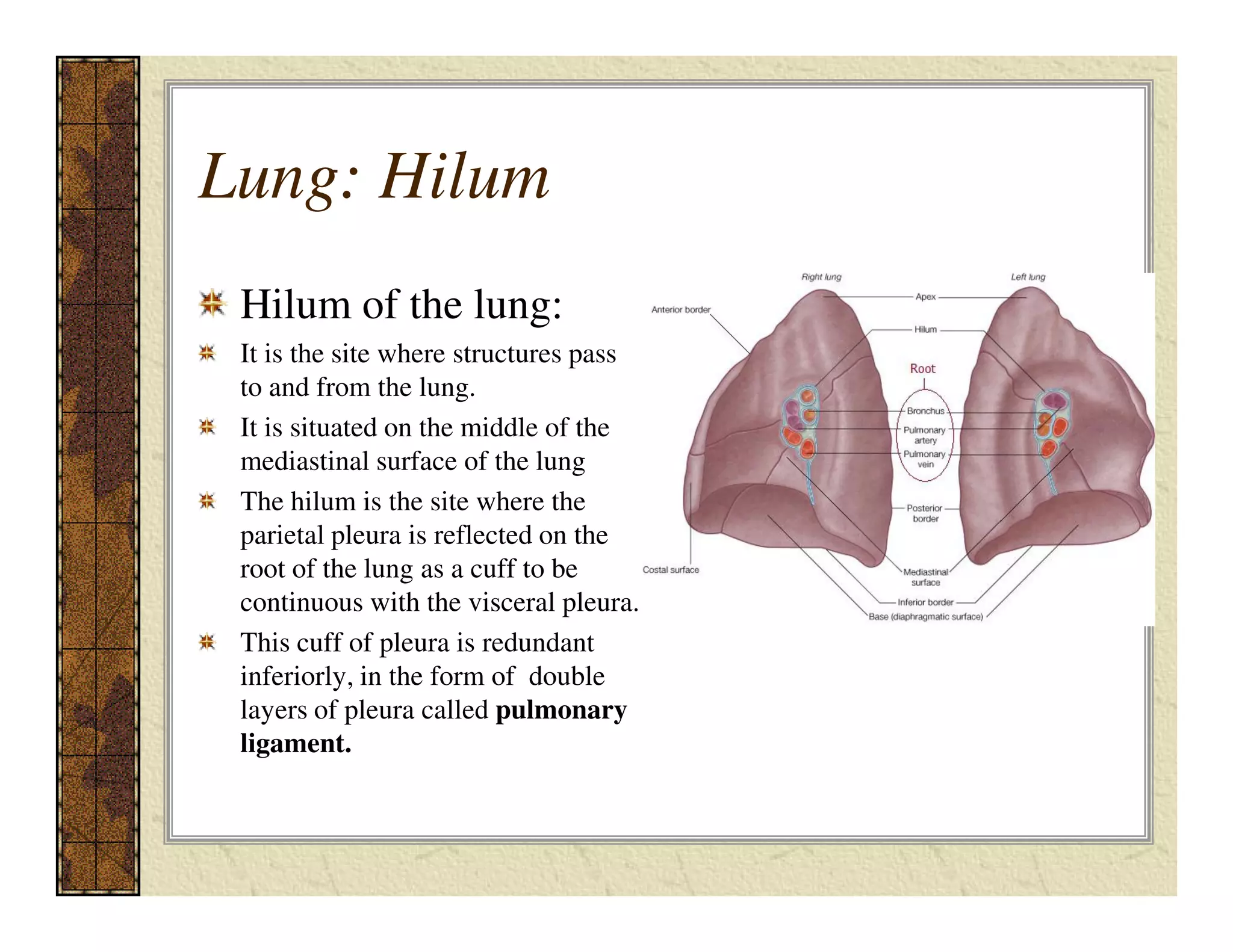 Lec.8 lungs pt&rc | PDF