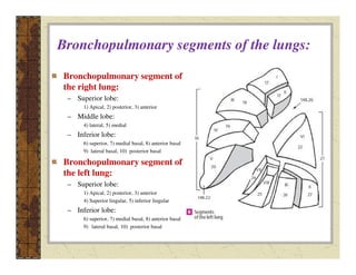 Lec.8 lungs pt&rc | PDF