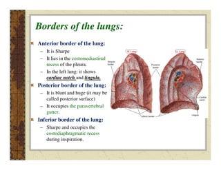 Lec.8 lungs pt&rc | PDF
