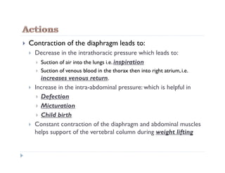 Lec.9 diaphragm pt&rt | PDF