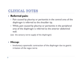 Lec.9 diaphragm pt&rt | PDF