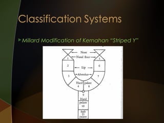 Cleft lip and palate - Introduction and Orthodontic Considerations | PPT