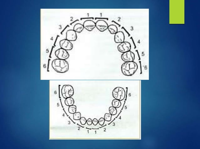cast analysis | PPTX | Dental Health | Diseases and Conditions