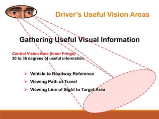 Vision and Driving | PPTX