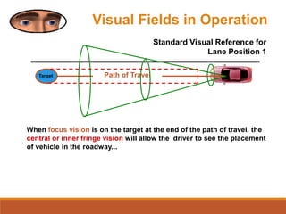 Vision and Driving | PPTX