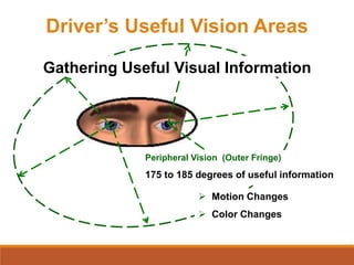 Vision and Driving | PPT