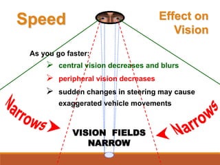 Vision and Driving | PPT