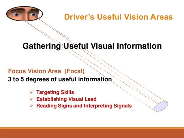Vision and Driving
