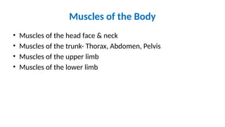 Lec-2- MUSCULAR SYSTEM -Muscles of head,Face and Neck.pptx