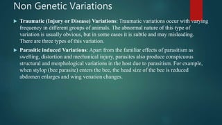 Lec. 19 population variations | PPTX