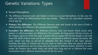 Lec. 19 population variations | PPTX