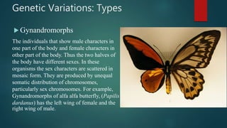 Lec. 19 population variations | PPTX