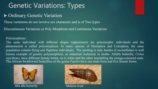 Lec. 19 population variations | PPTX