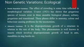 Lec. 19 population variations | PPTX