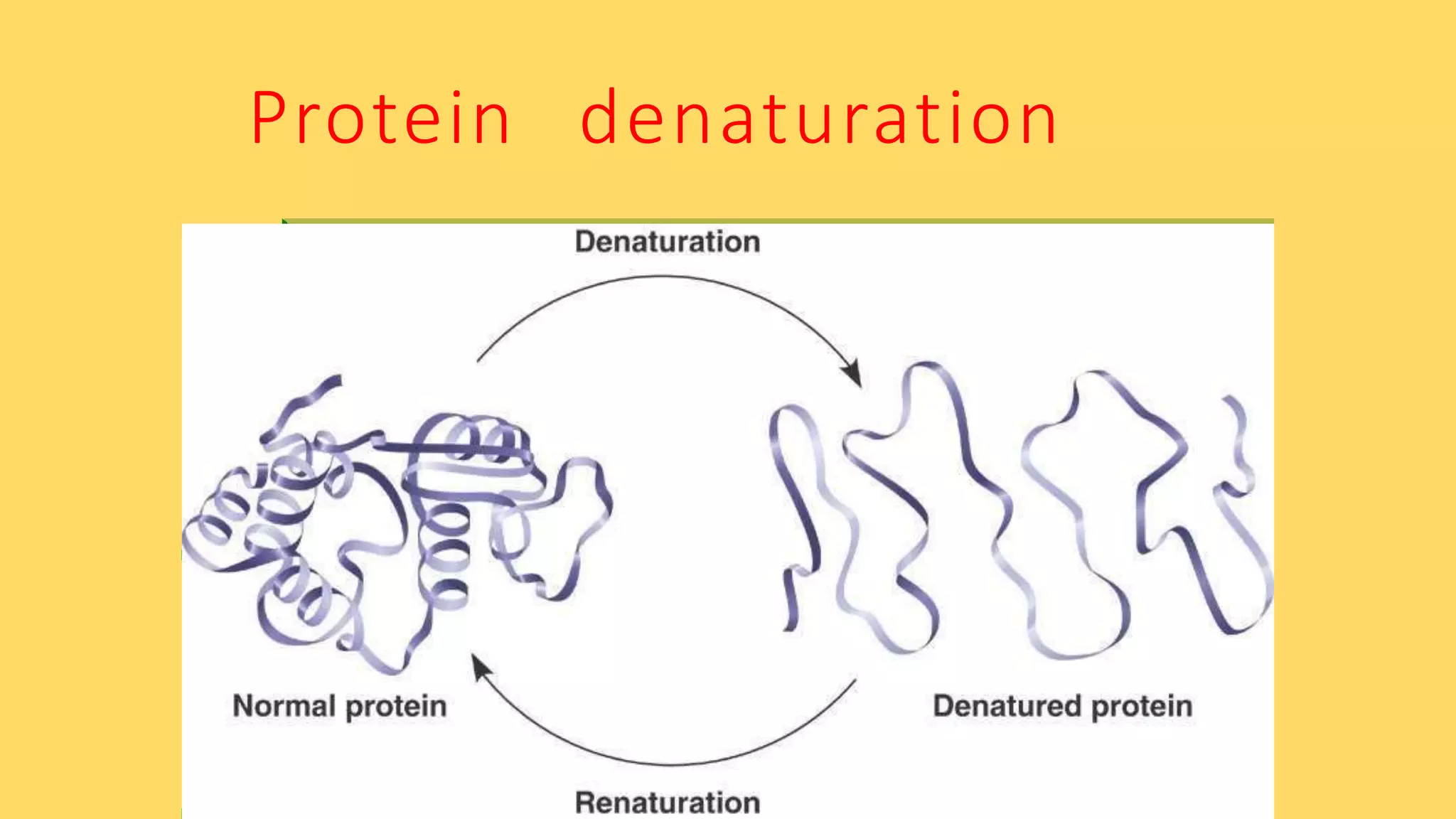 Lec.3 protein chem.classification | PPTX