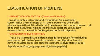 Lec.3 protein chem.classification | PPTX