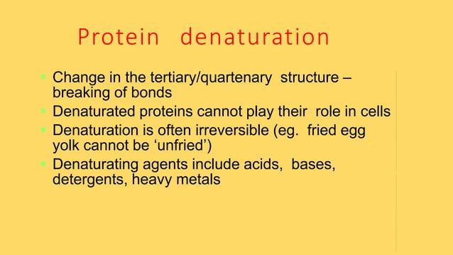Lec.3 protein chem.classification | PPT