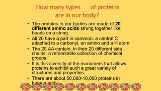 Lec.3 protein chem.classification | PPT