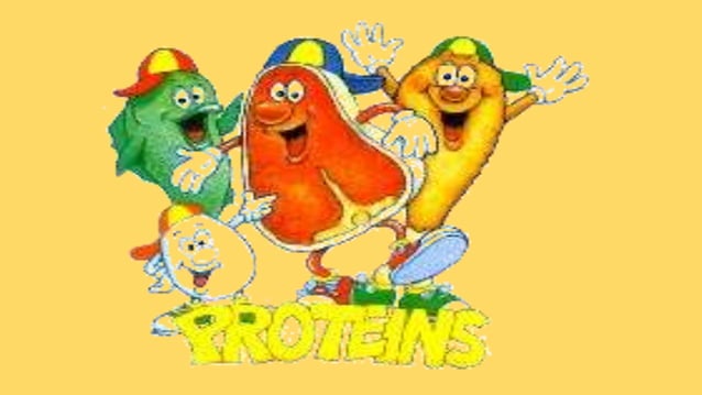 Lec.3 protein chem.classification | PPT