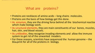 Lec.3 protein chem.classification | PPTX