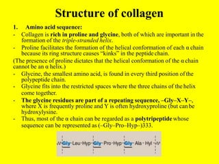 Lec.5 fibrous proteins. | PPTX | Chemistry | Science