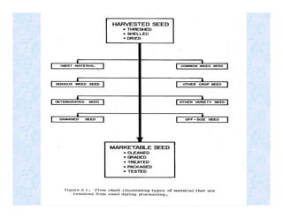 Seed processing equipments | PDF