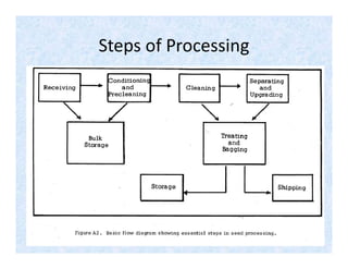 Seed processing equipments | PDF
