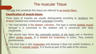Insect Muscular System | PPTX