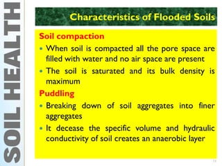 Flooded soils – formation, characteristics and management | PDF