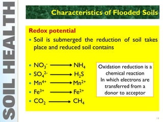 Flooded soils – formation, characteristics and management | PDF