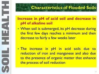 Flooded soils – formation, characteristics and management | PDF