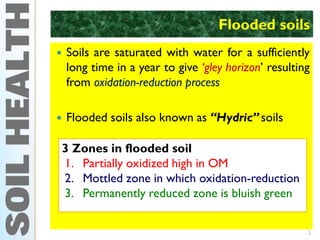 Flooded soils – formation, characteristics and management | PDF