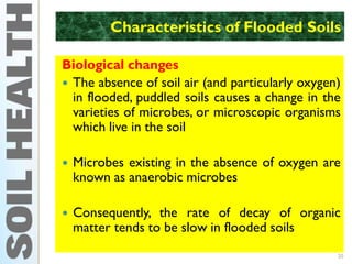 Flooded soils – formation, characteristics and management | PDF