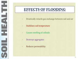 Flooded soils – formation, characteristics and management | PDF