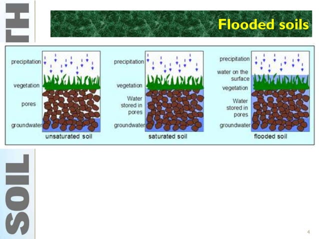 Flooded soils – formation, characteristics and management | PDF